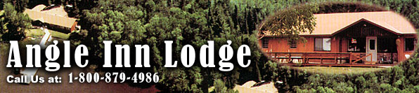 Lake of the Woods Northwest Angle Minnesota Webcam